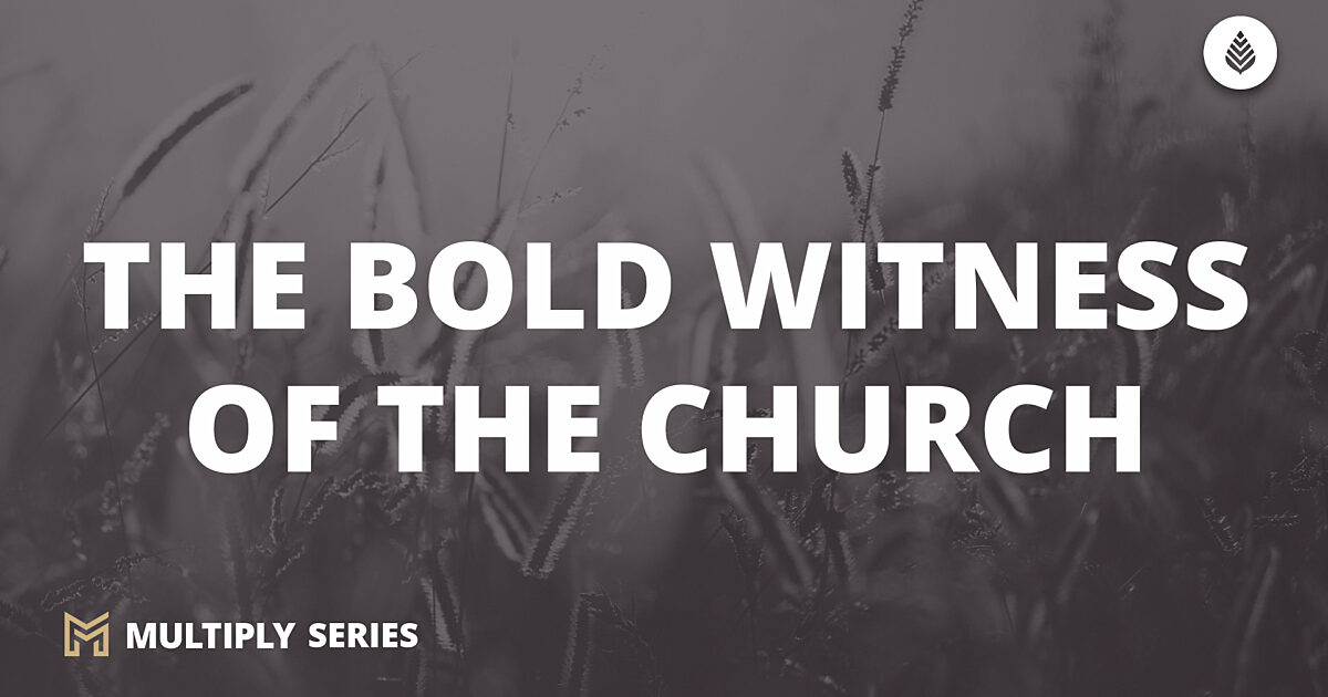 The Bold Witness of the Church | Bay Leaf Baptist Church